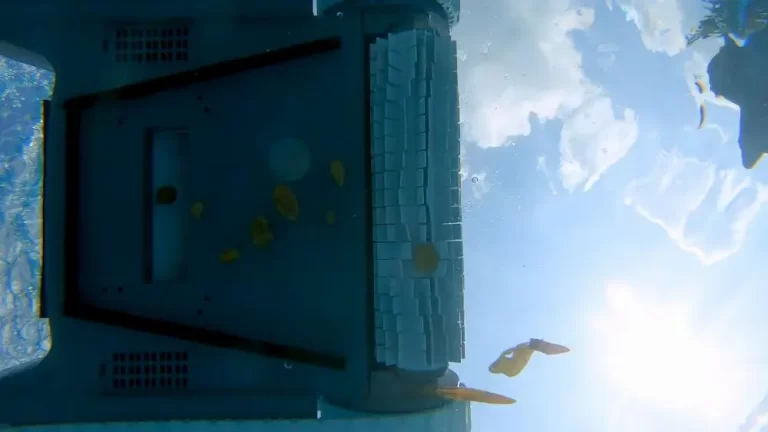 Dolphin Active 10 Review - 2024 Dolphin Reviews