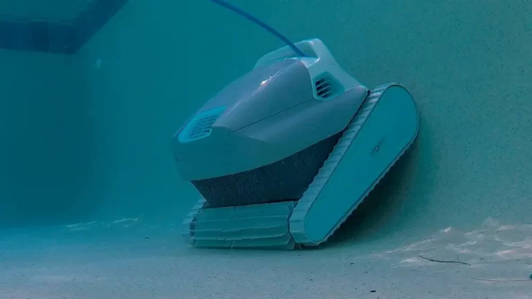 Dolphin Active 20 Product Review - 2024 Dolphin Reviews