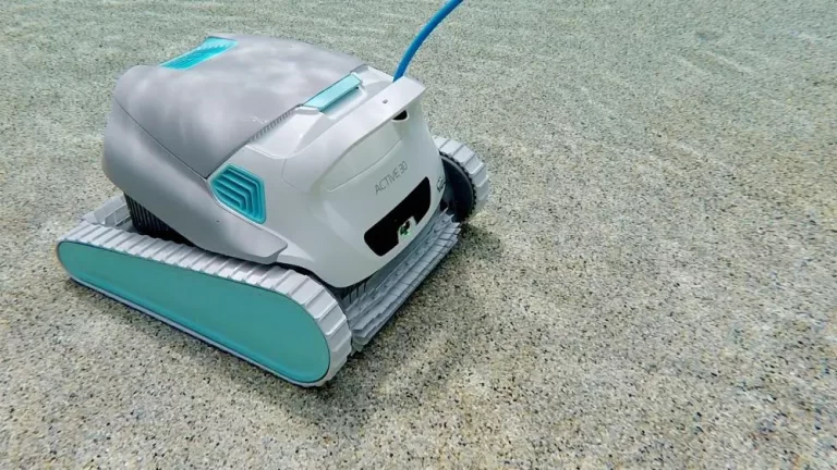 Dolphin Active 30 Review - 2024 Dolphin Reviews