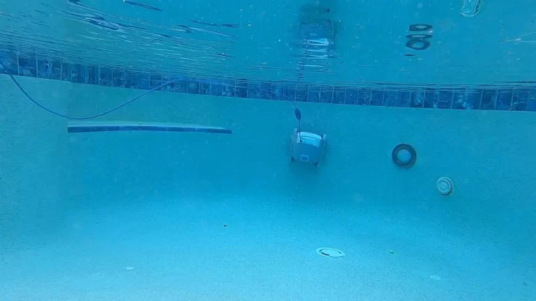 Dolphin Active Solo Product Review - 2024 Dolphin Reviews