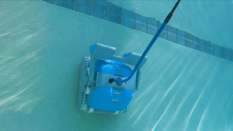 Dolphin M400 Product Review - 2024 Dolphin Reviews