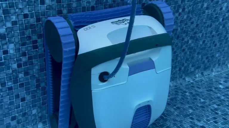 Dolphin S100 Review - 2024 Dolphin Reviews