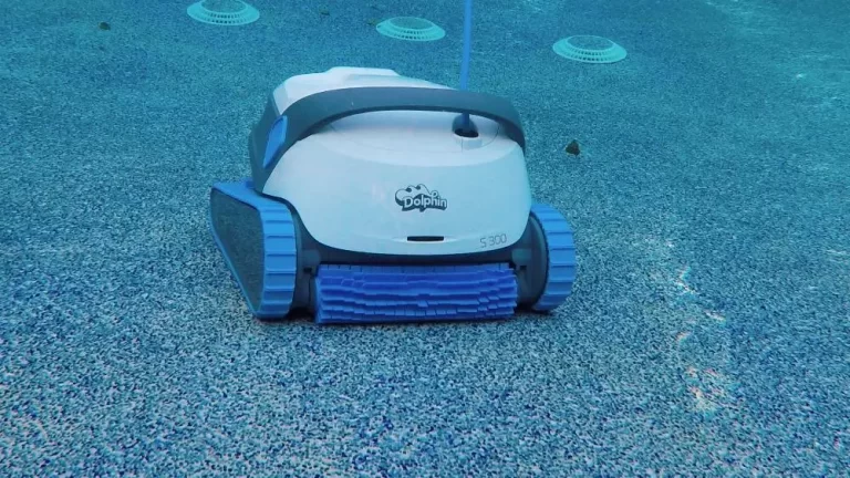 Dolphin S300 Product Review - 2024 Dolphin Reviews