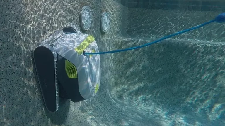 Dolphin T35 Product Review - 2024 Dolphin Reviews