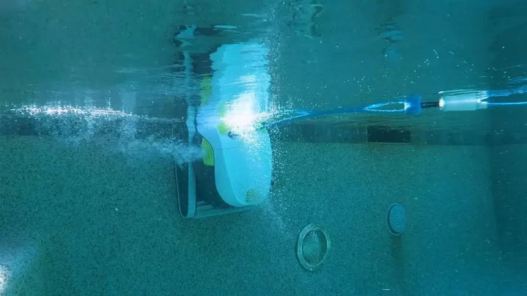 Dolphin T35 Product Review - 2024 Dolphin Reviews